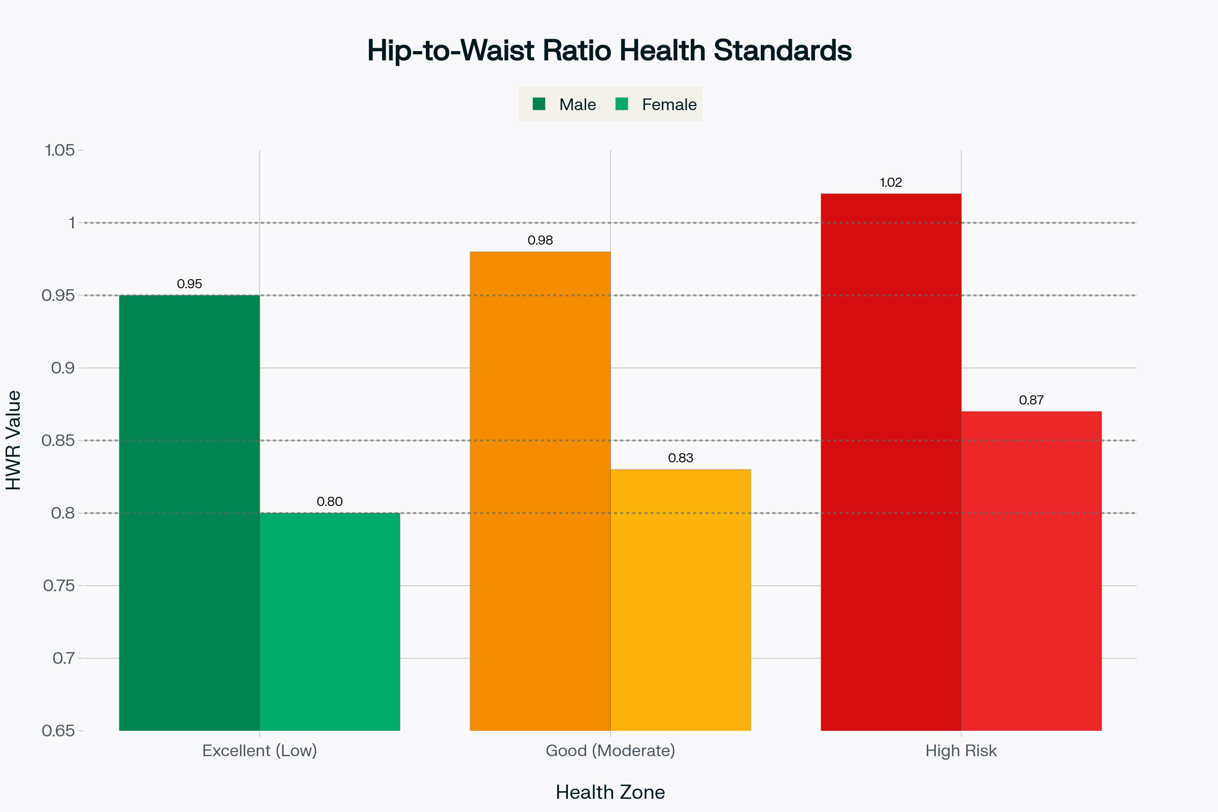 Ideal Hip Size Calculator (with List & Chart)